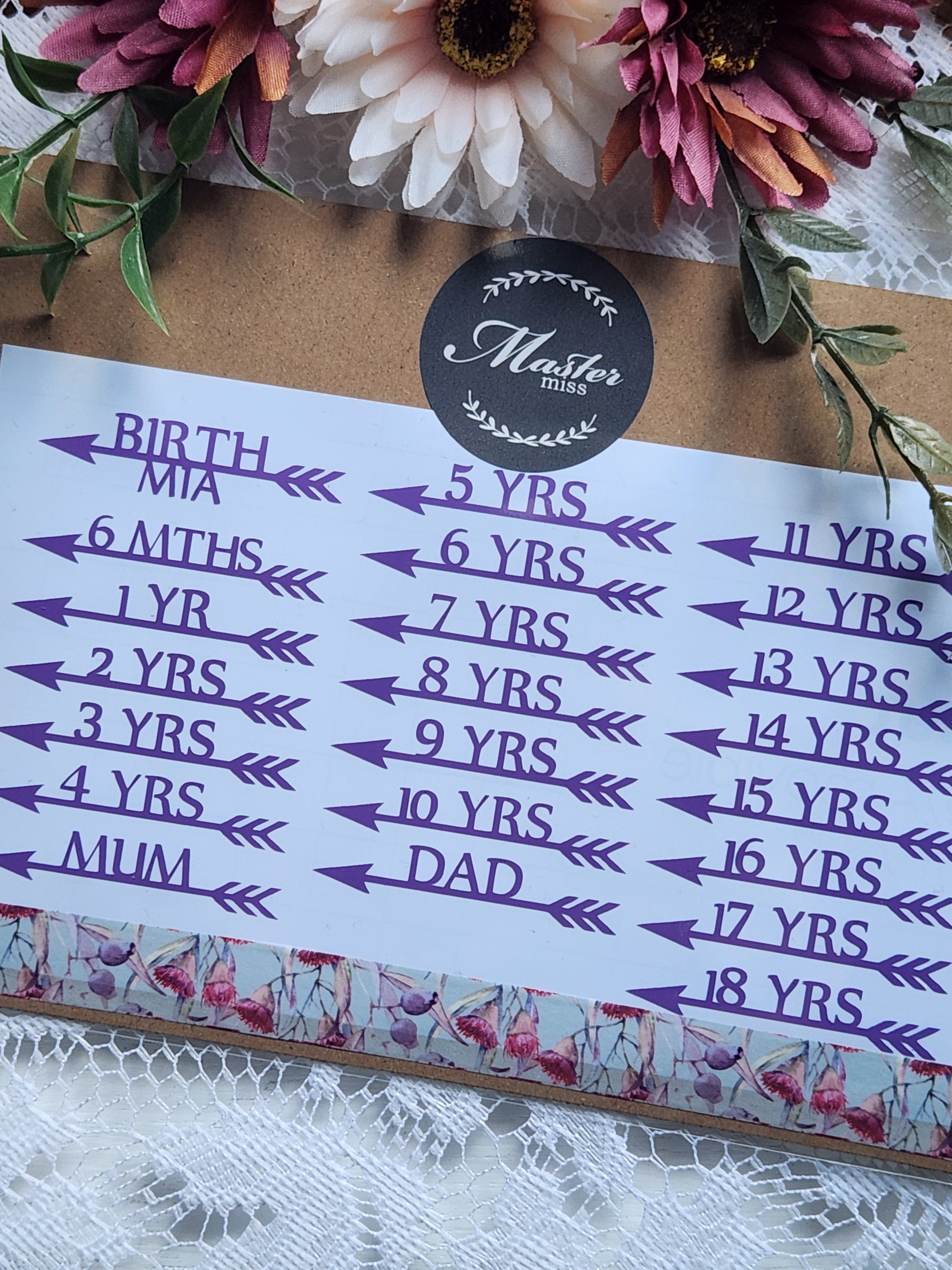 Marker/Arrow Decals – Master Miss
